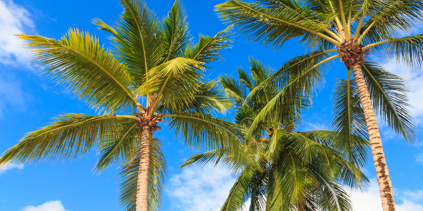 Florida: Adventures in the Sunshine State | EF Explore America