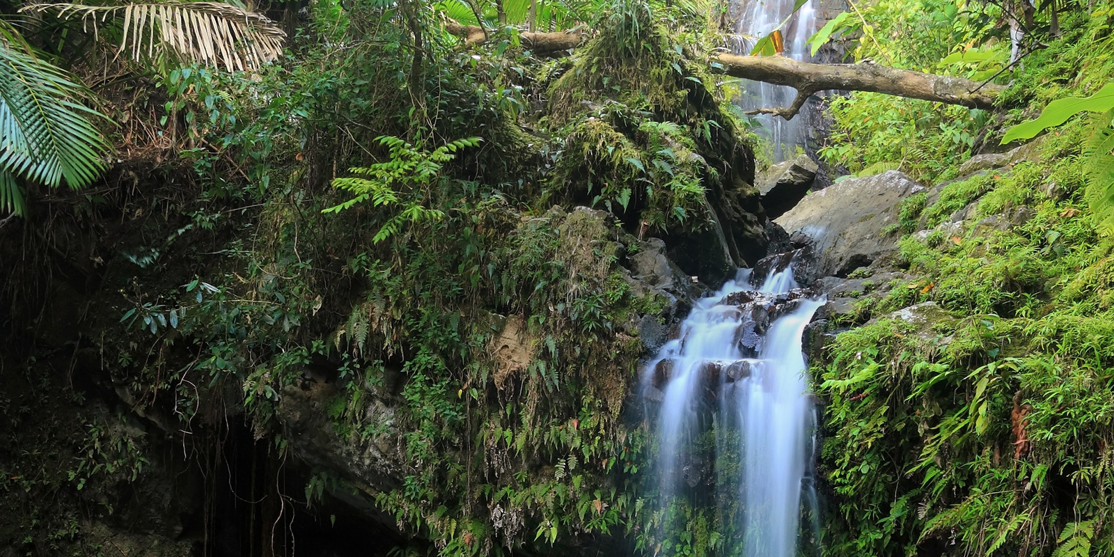 Puerto Rico: Island of Natural Wonders | EF Explore America